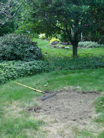 How To Fix Dead Patches In The Lawn • Greenview Fertilizer