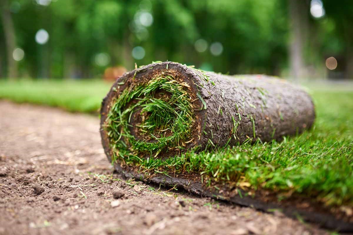 What Is Sod And What Are The Benefits Of Using It In Your Yard Or