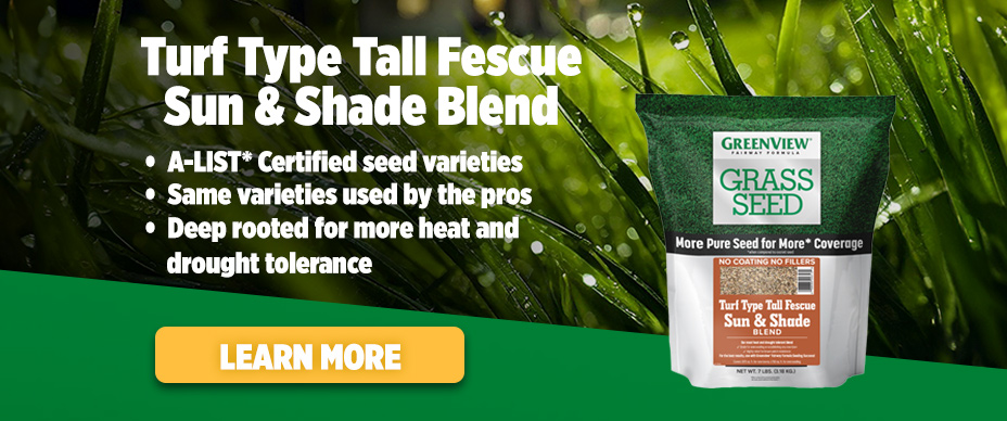 GreenView ~ Premium Lawn Care Products, Tips, & More